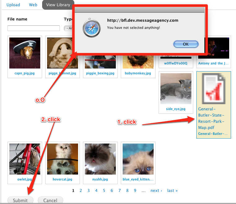 "You have not selected anything!" error message, when a selection has ...