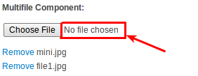 'File not chosen' [#1405612] | Drupal.org