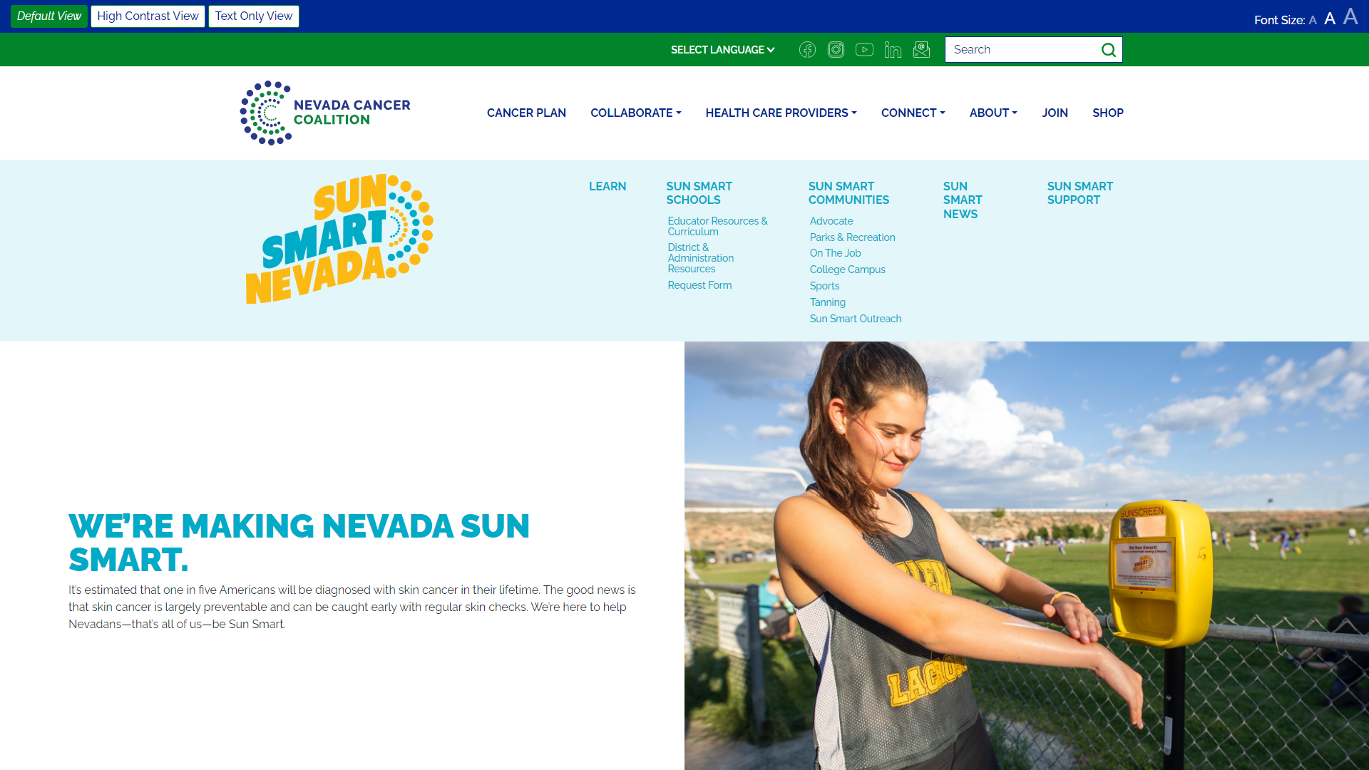 Nevada Cancer Coalition: Accessibility-Driven Transformation | Drupal.org