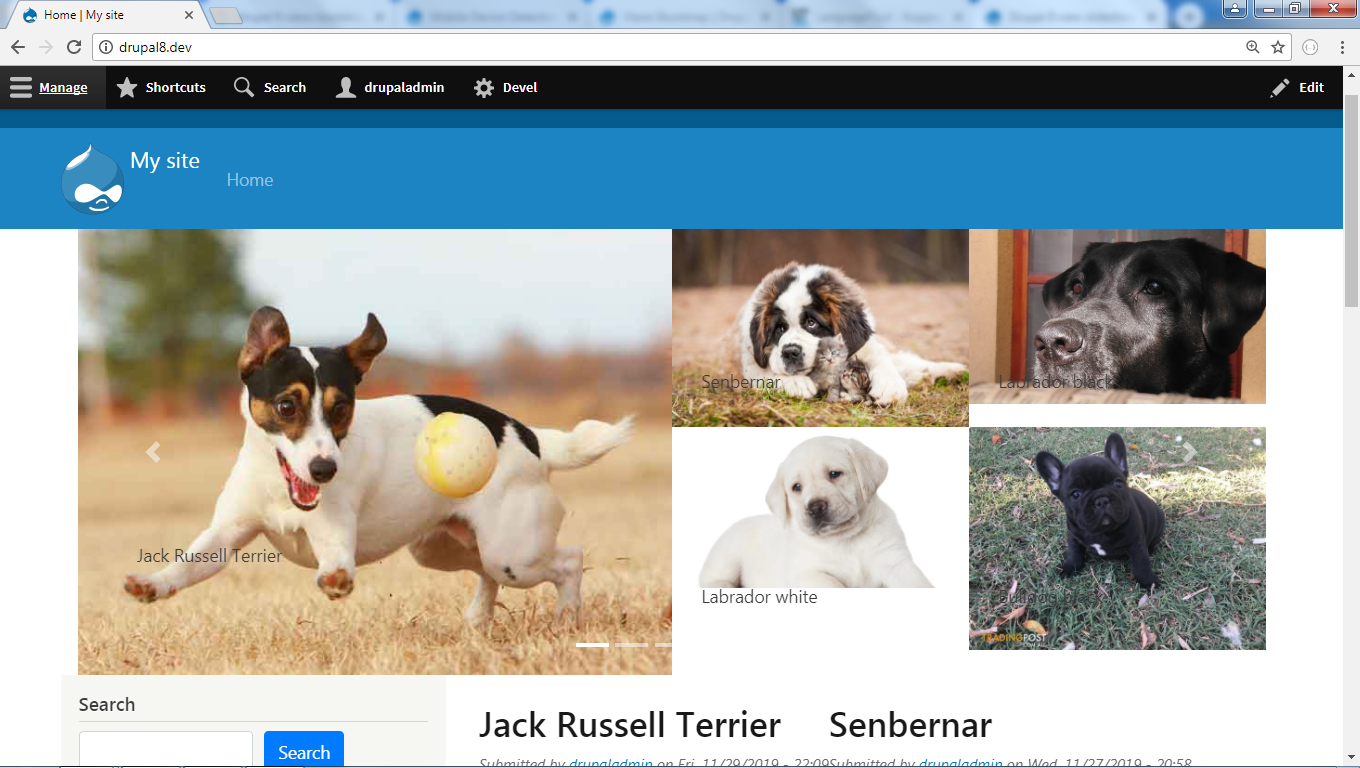 Step-by-step guide | Slideshow with different numbers of pictures in a ...