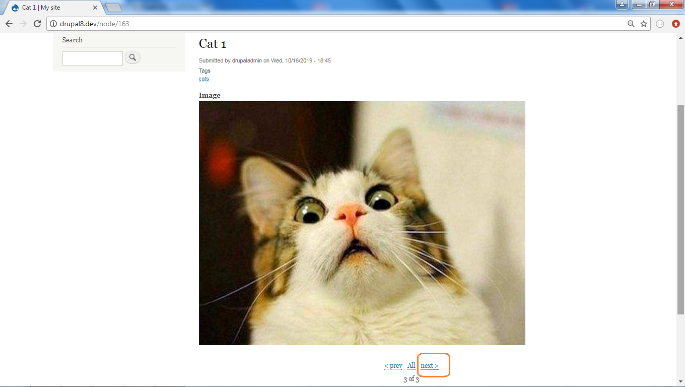 Creation Of The Image Gallery Using The Entity Pager Module Entity Pager Drupal Guide On 