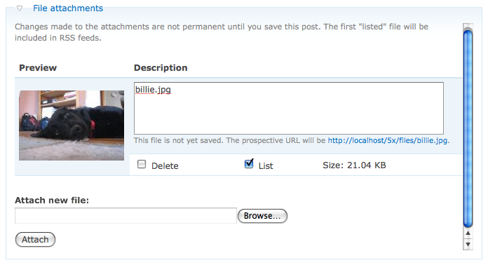 Upload previews | Drupal.org Upload previews | Drupal.org