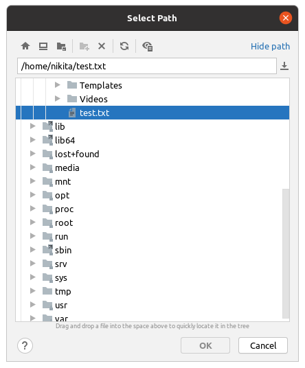Rename dictionary.txt file to drupal.dic to make it compatible with PhpStorm on Linux [#3153919 ...
