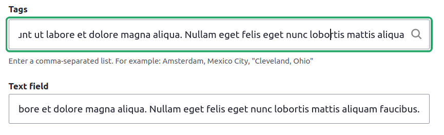 Autocomplete input text can visibly overflow under magnifier icon [#3163127] | Drupal.org