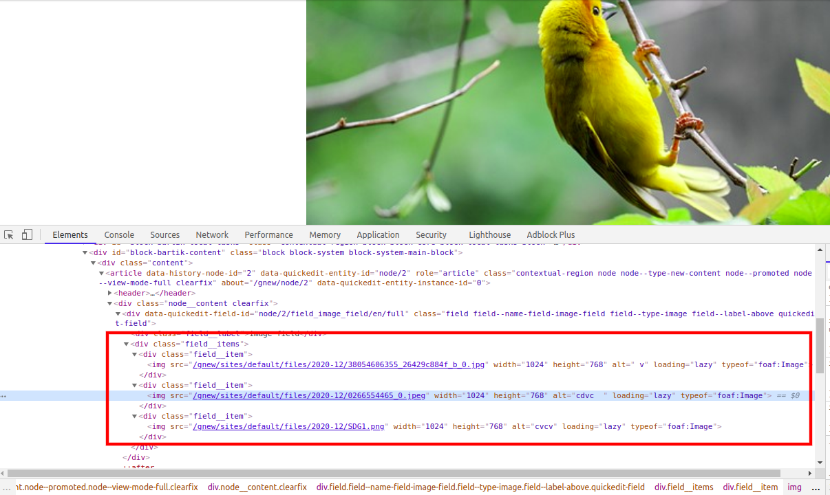 Multiple image upload breaks image dimensions [#2644468] | Drupal.org