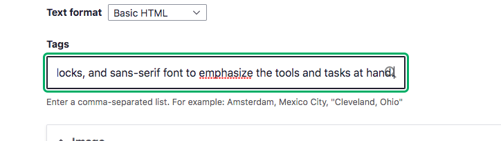 Autocomplete input text can visibly overflow under magnifier icon [#3163127] | Drupal.org