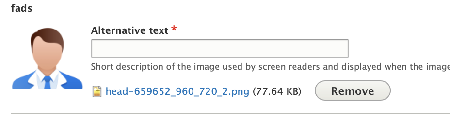 Set filename as a default value to image 'Alt' & 'Title' field [#3203489] | Drupal.org