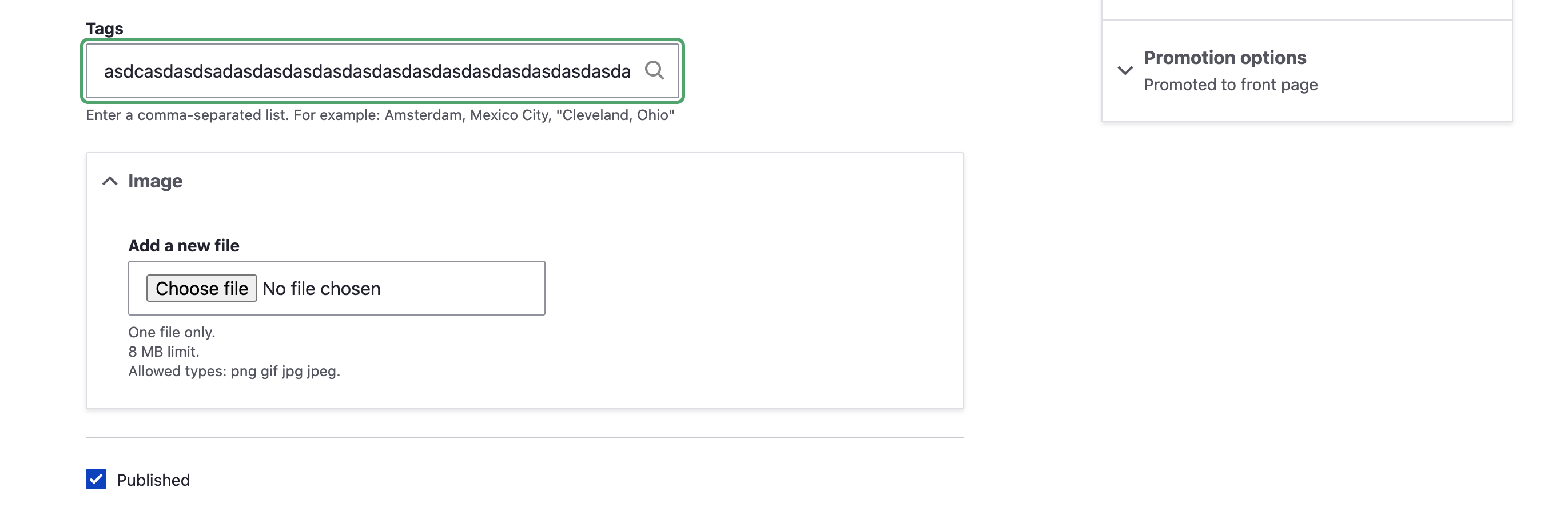 Autocomplete input text can visibly overflow under magnifier icon [#3163127] | Drupal.org