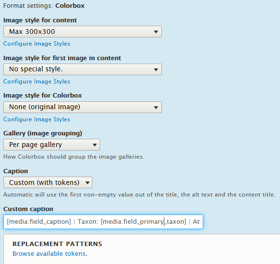 HTML links no longer work in custom captions [#3263032] | Drupal.org
