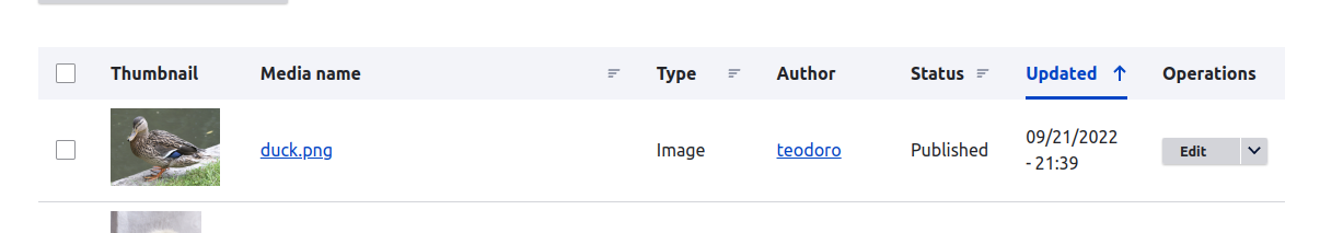 Preview is adding width 0 height 0 to the image with media module [#3311023] | Drupal.org