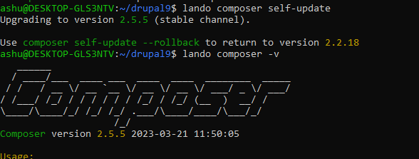 Unable to upgrade from Drupal 9.5.7 to Drupal 10.0.7 [#3353874] | Drupal.org