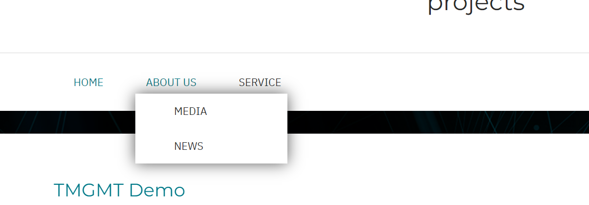 Submenu are not shown on Frontend [#3285545] | Drupal.org