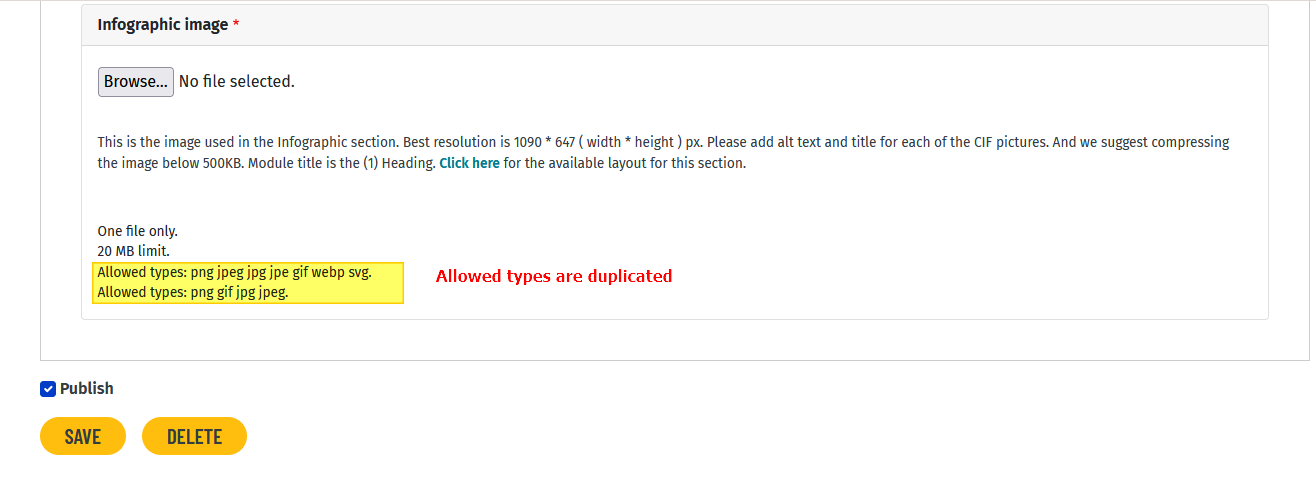 Allowed type text is duplicated in the back end of image field ...