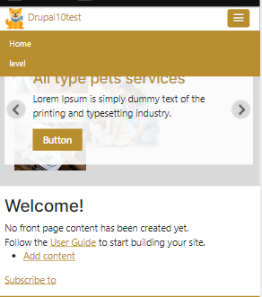 No hamburger menu [#3442528] | Drupal.org