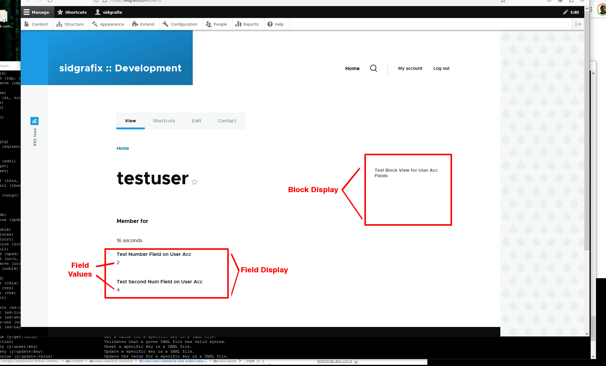 Views will not display the value of a newly added field to user accounts even when the field has ...
