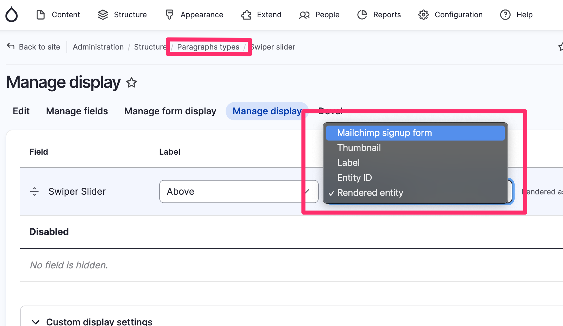 there is no options for paragraph field's manage display. [#3467530] | Drupal.org