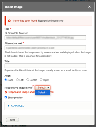 Can't select image style on IMCE [#3492261] | Drupal.org