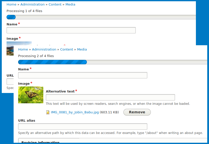 Allow media to be uploaded with the Media Library field widget ...