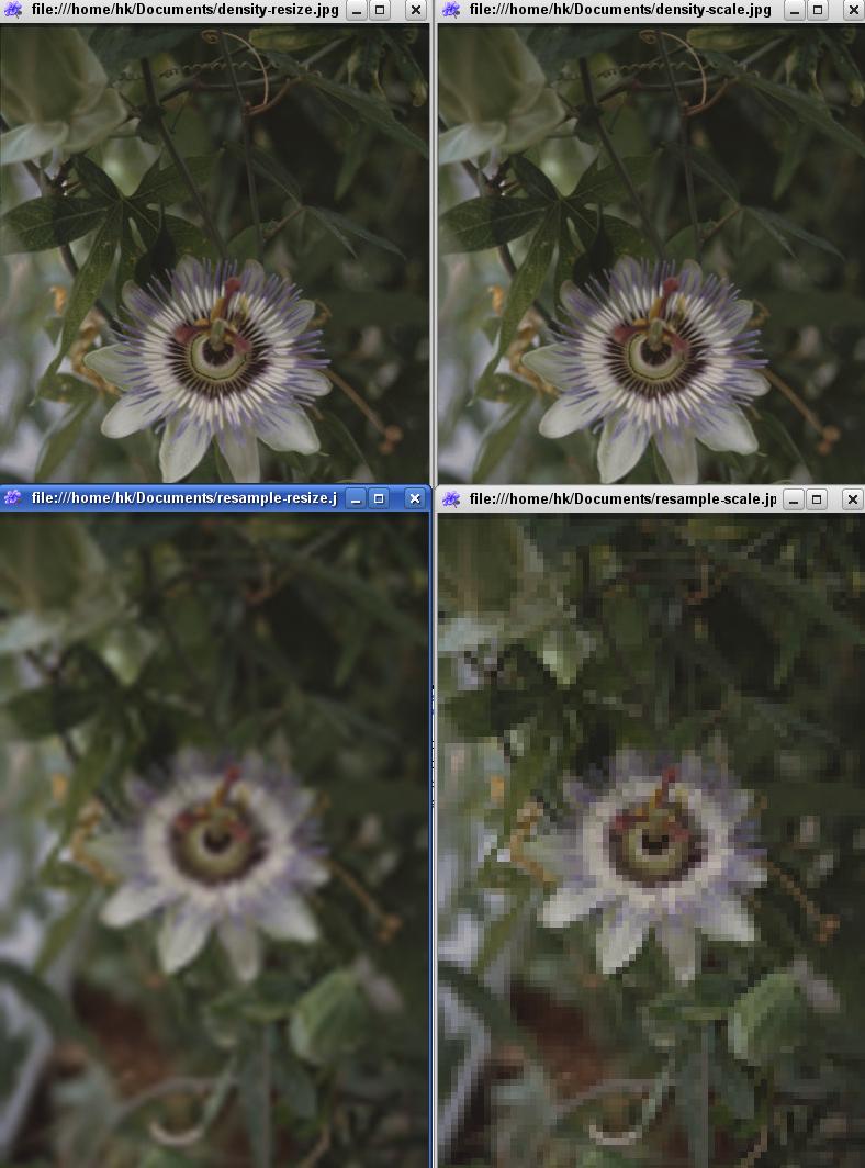 Imagemagick compress - pastoronly