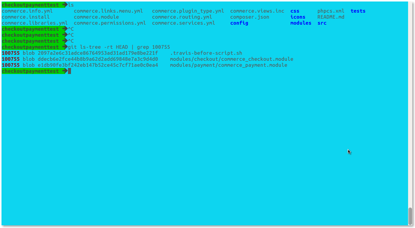Investigate Why Drupalci Fails On Checkout Based Functional And Functionaljavascript Tests