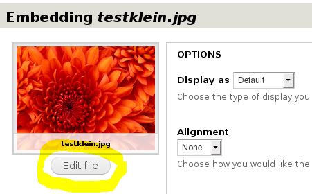 Option to hide "Edit"-button in Media Browser Embed Dialog [#2911500] | Drupal.org