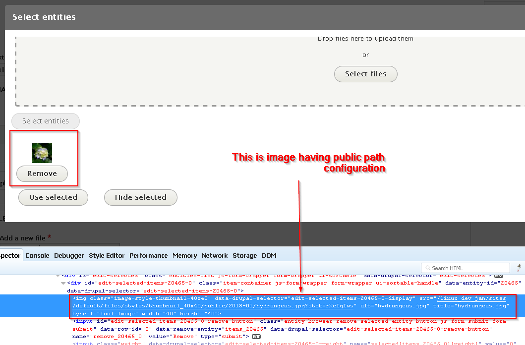 Selected uploaded images aren't visible when using private path ...