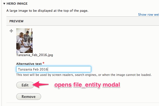 Integrate focal point with file entity and entity browser [#2701725 ...