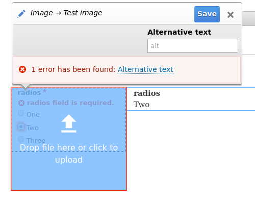 Inline Form Errors not compatible with Quick Edit [#2828092] | Drupal.org