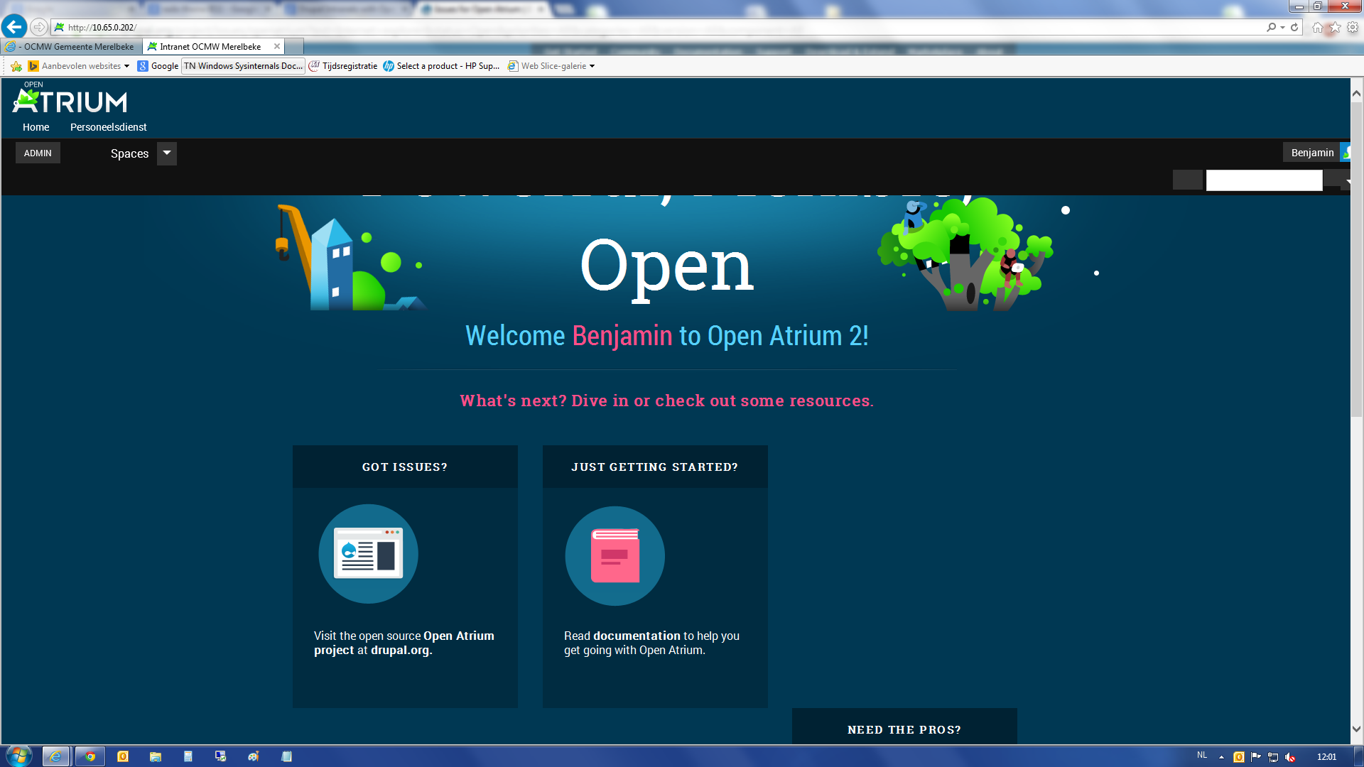 IE11 radix theme broken? [#2211975] | Drupal.org