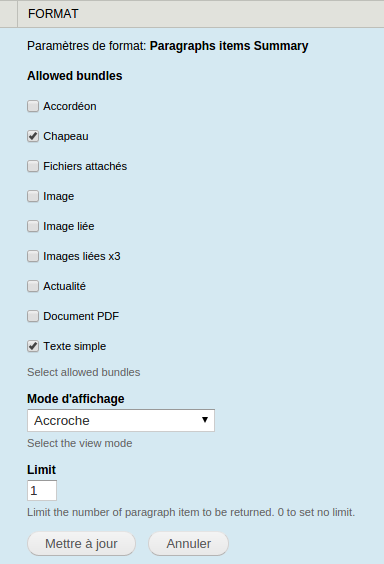Paragraph summary formatter [#2433933] | Drupal.org