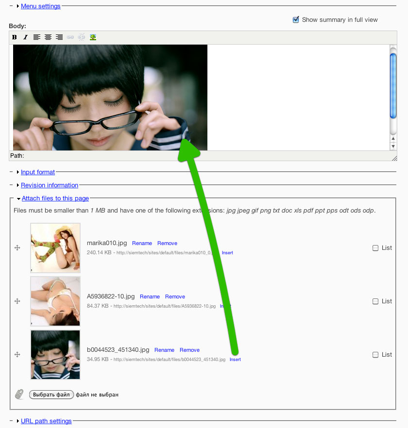 Link for insert image to the text area [#673118] | Drupal.org