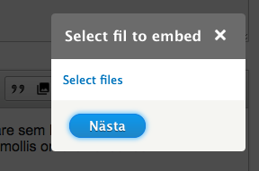 Empty File browser modal after adding text file [#2824817] | Drupal.org