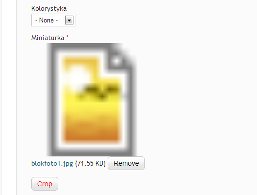 Problem on edit form with inline entity reference [#1889988] | Drupal.org