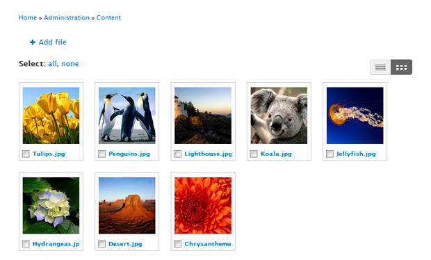 Media Library | Media | Drupal Wiki guide on Drupal.org