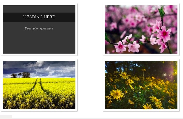Hover Effects 