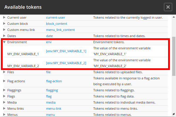 Environment For Tokens 