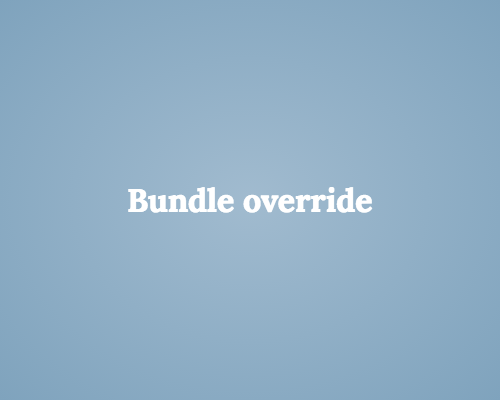 Bundle Override | Drupal.org