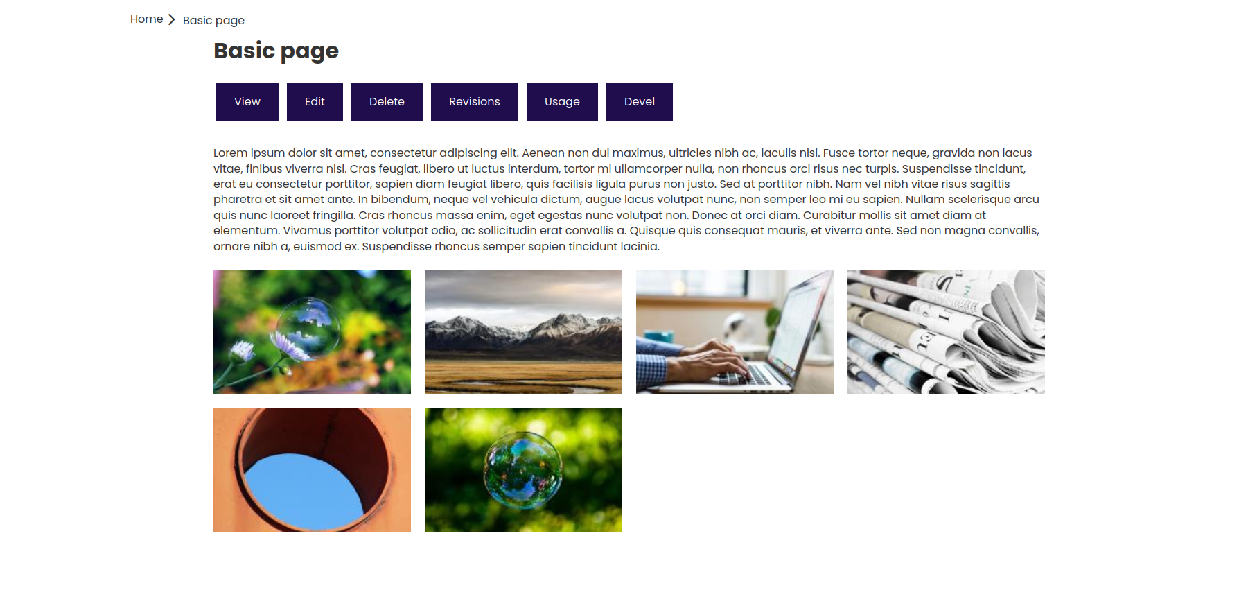 Entity Gallery to Slideshow | Drupal.org Entity Gallery to Slideshow | Drupal.org