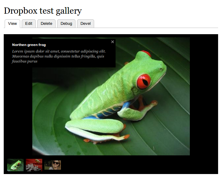 Scald: Gallery | Drupal.org