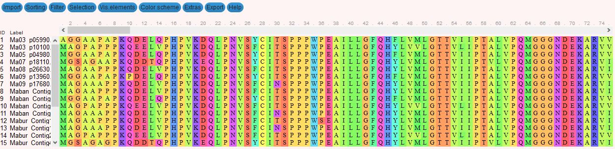 MSAViewer | Drupal.org