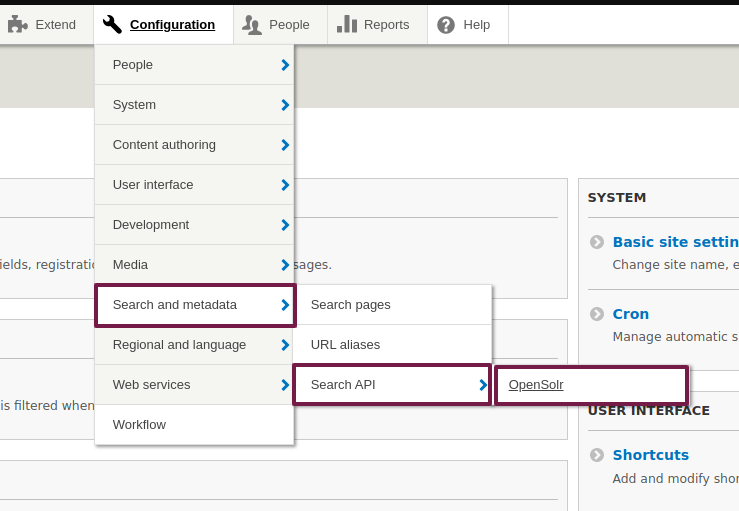 Setting up opensolr credentials (important) | Search API opensolr | Drupal Wiki guide on Drupal.org