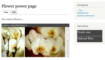 Directory based field | Drupal.org