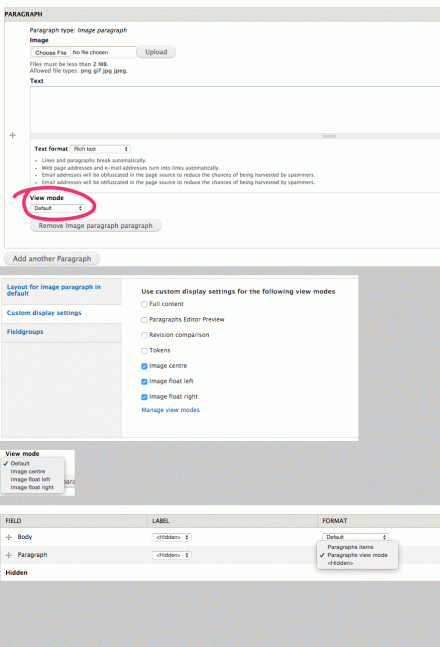Paragraphs view mode | Drupal.org