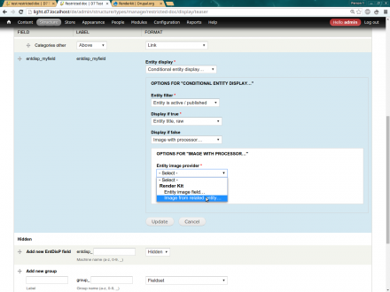 Entity display plugin for field UI | Drupal.org