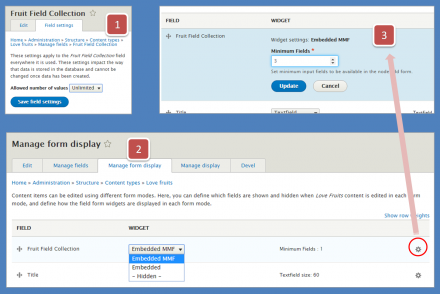 Minimum Multiple Fields [Field Collection] | Drupal.org