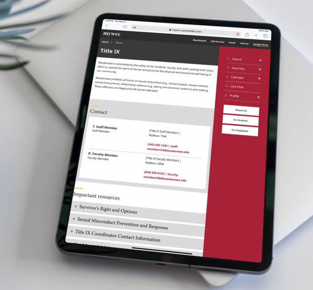 Waubonsee Community College: Creating a Transformative Communications ...