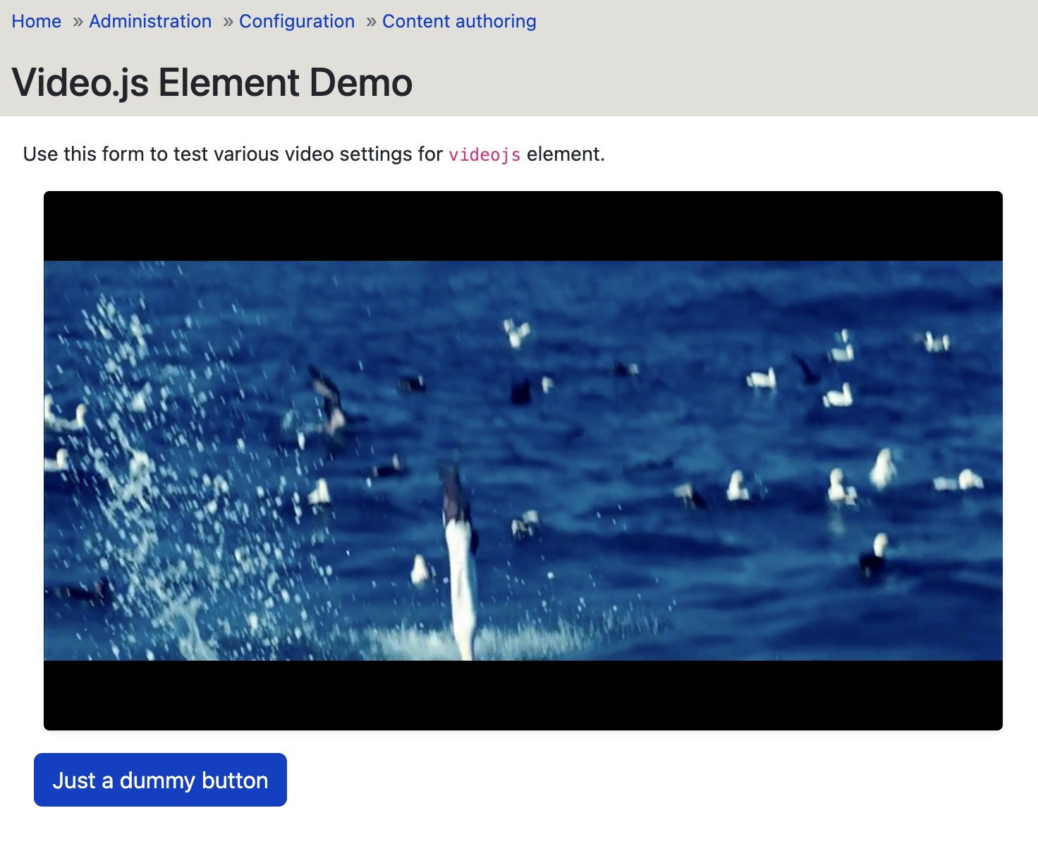 VideoJS Element | Drupal.org